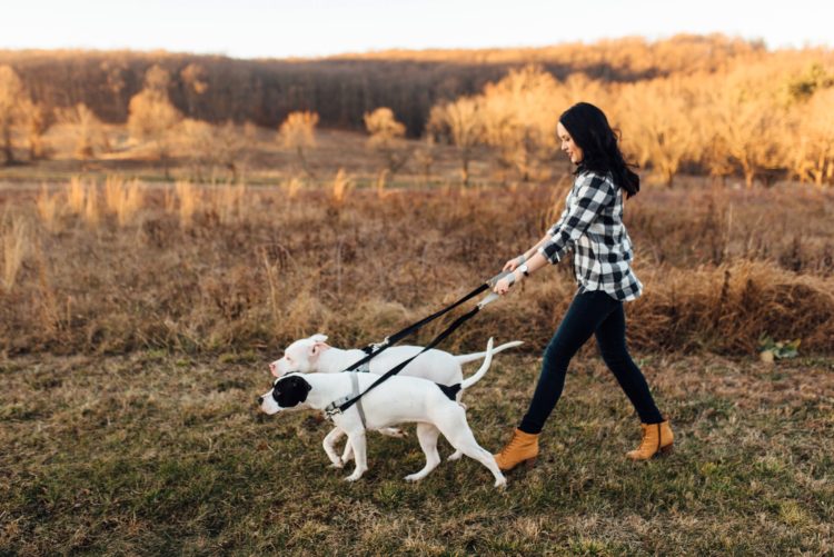 Valley Forge Anniversary, Chester County, PA | Roni + Graham | Alison ...