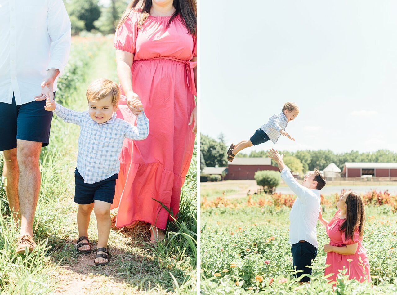 Maple Acres Flower Farm Mini-Sessions | Alison Dunn Photography