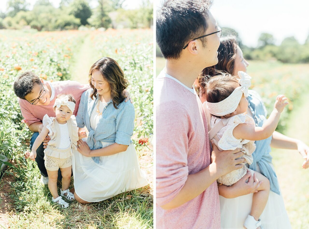 Maple Acres Flower Farm Mini-Sessions | Alison Dunn Photography