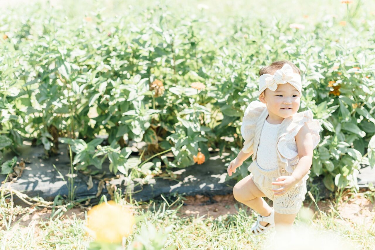 Maple Acres Flower Farm Mini-Sessions | Alison Dunn Photography