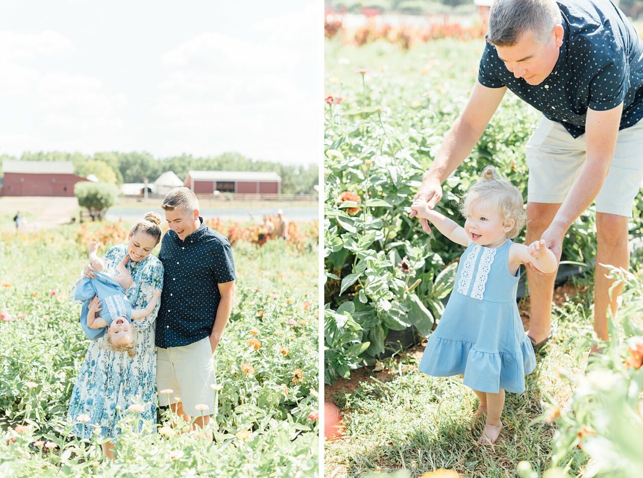 Maple Acres Flower Farm Mini-Sessions | Alison Dunn Photography