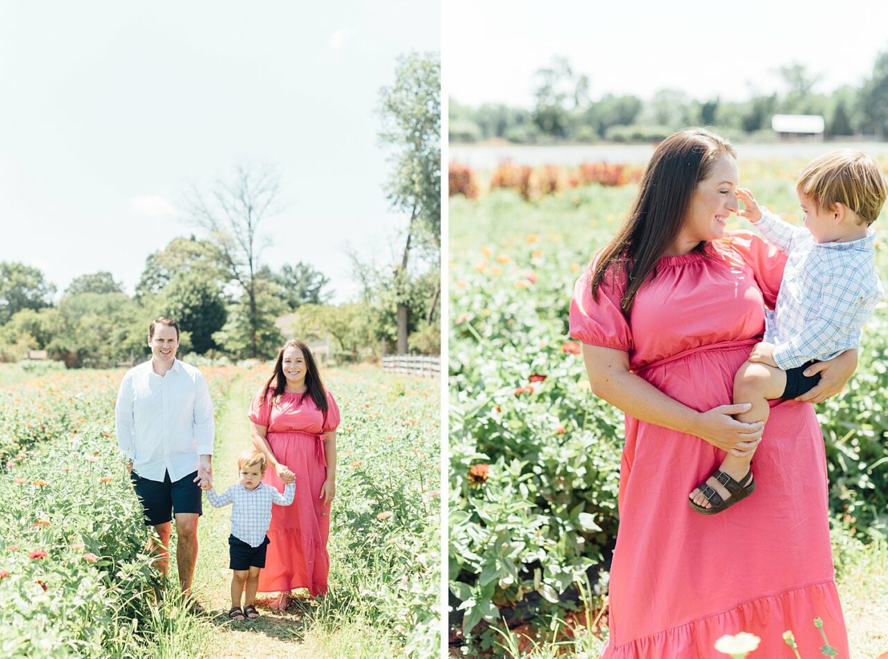 Maple Acres Flower Farm Mini-Sessions | Alison Dunn Photography